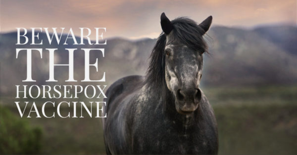 Beware the Horsepox Virus | Nature of Healing