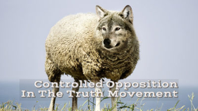 Controlled Opposition In The Truth Movement | Nature of Healing