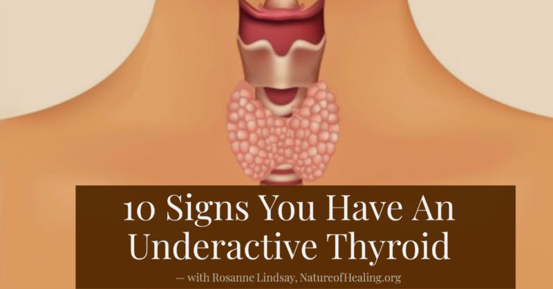 Ten Signs You Have An Underactive Thyroid | Nature of Healing